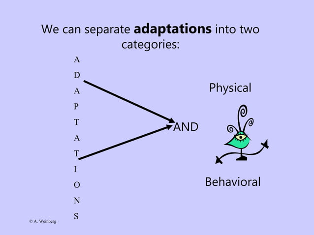 animal_adaptations.ppt