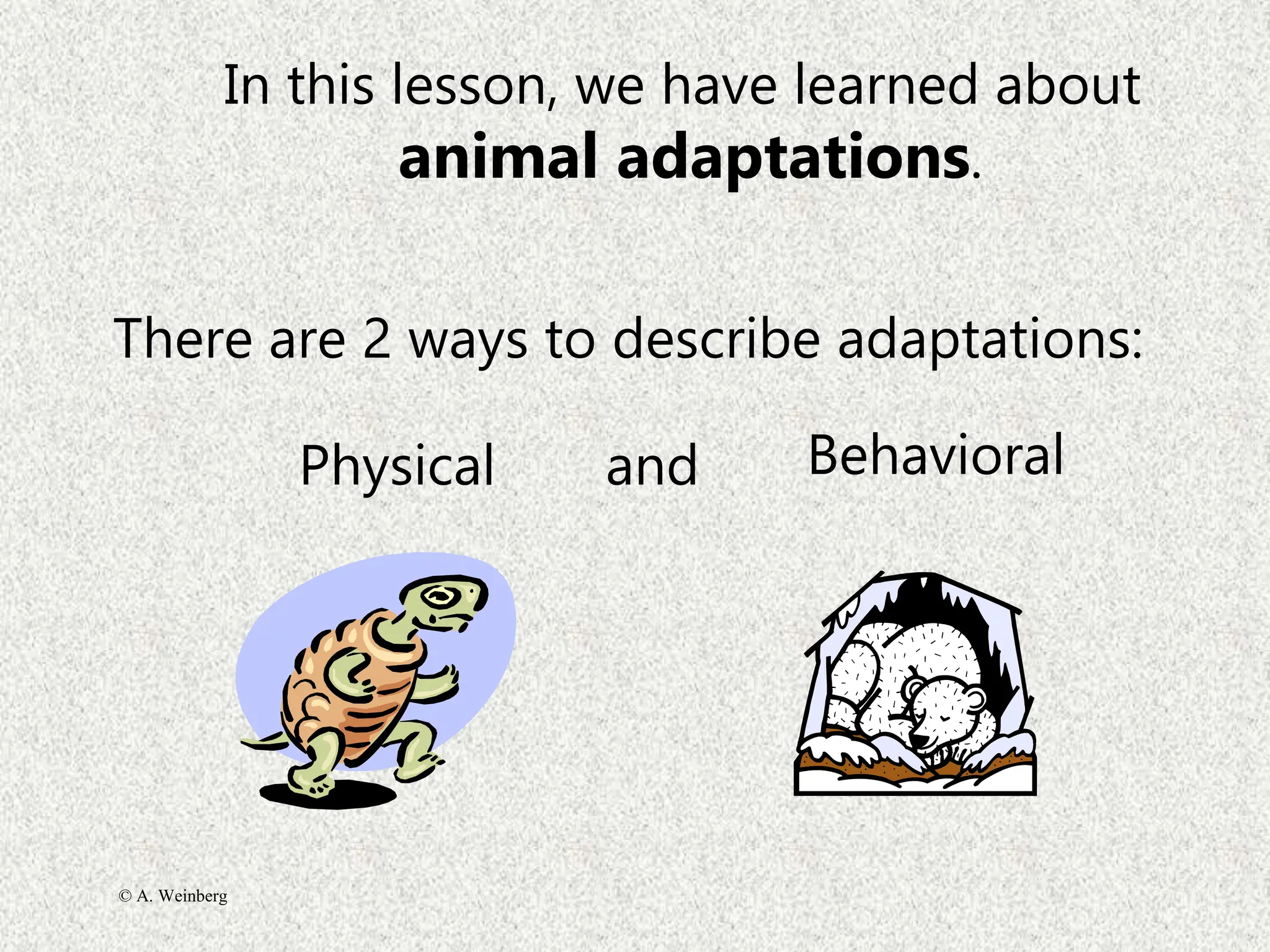 animal_adaptations with diagrams and explaination.ppt