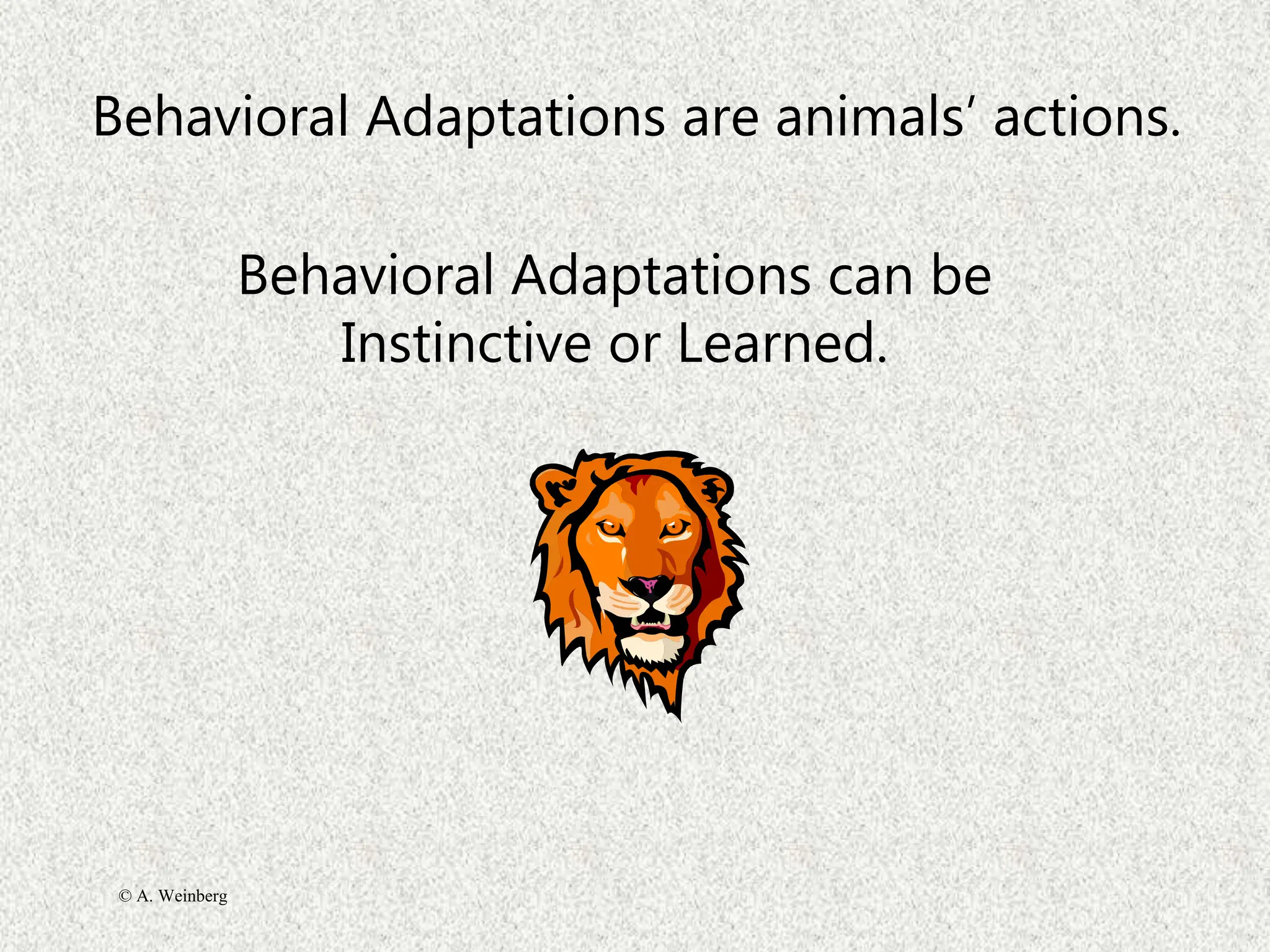 animal_adaptations with diagrams and explaination.ppt