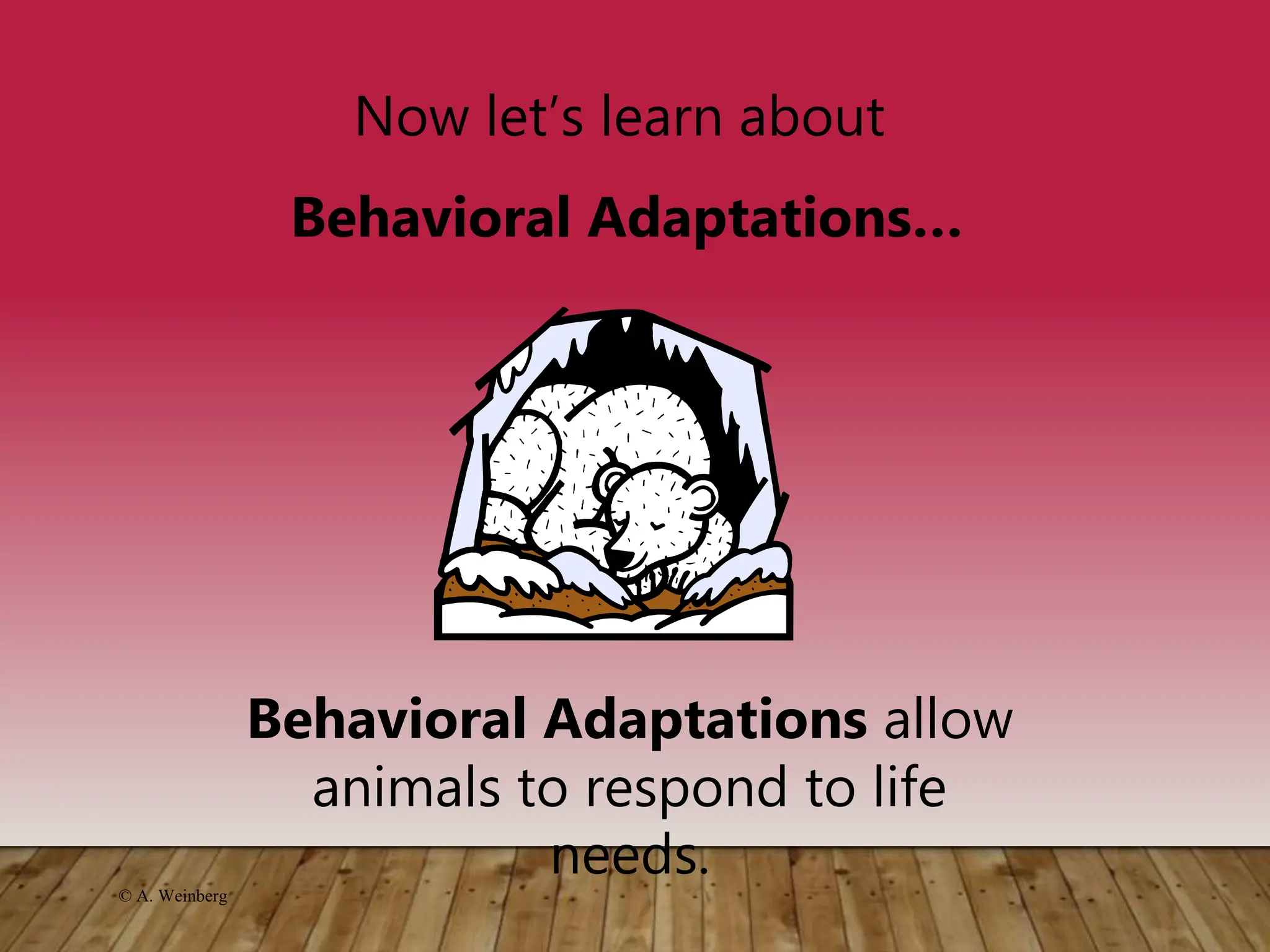 animal_adaptations ppt - ppt for grade 8 | PPT