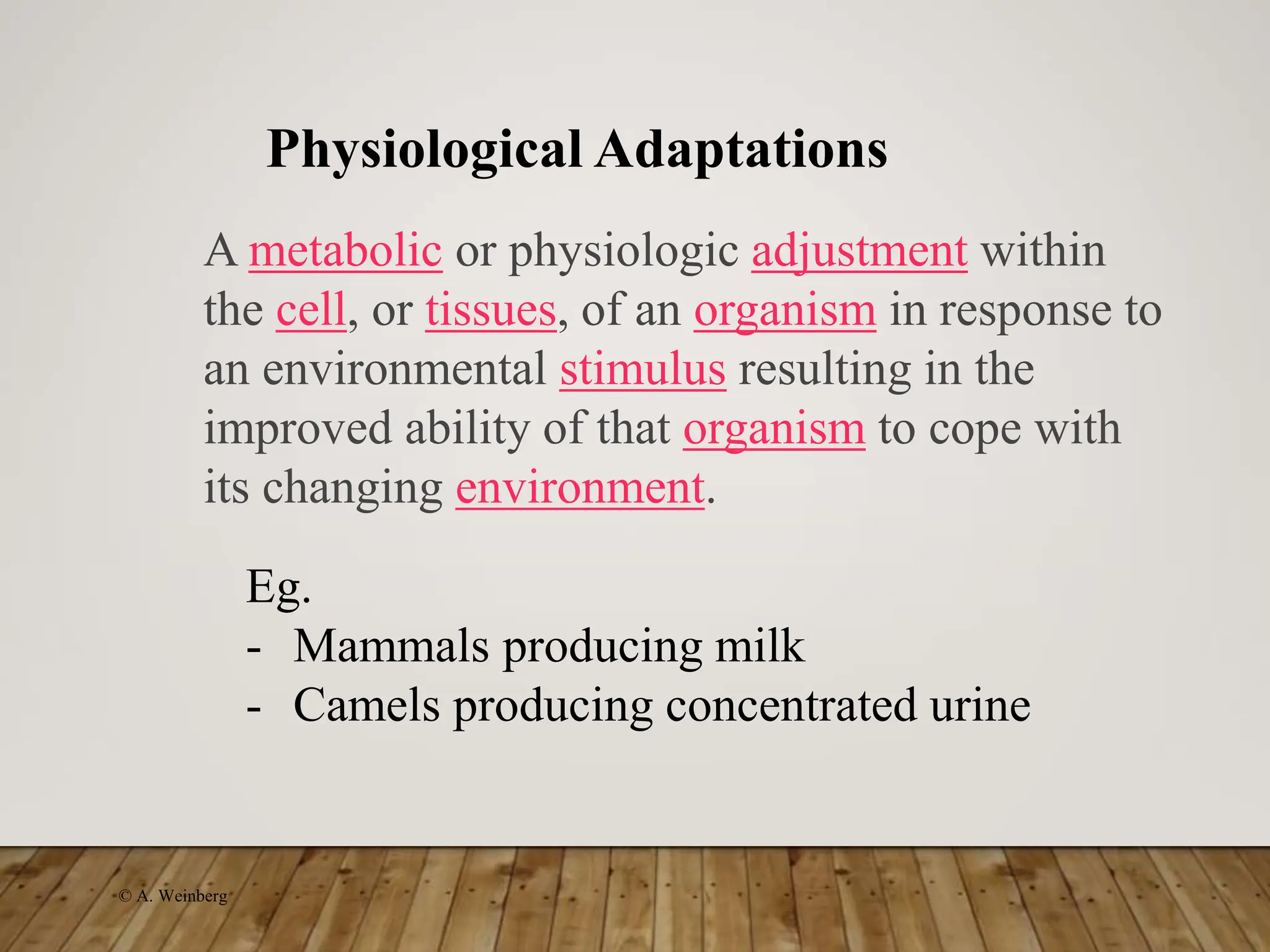 animal_adaptations ppt - ppt for grade 8 | PPT