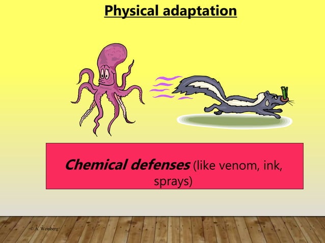animal_adaptations ppt - ppt for grade 8 | PPT