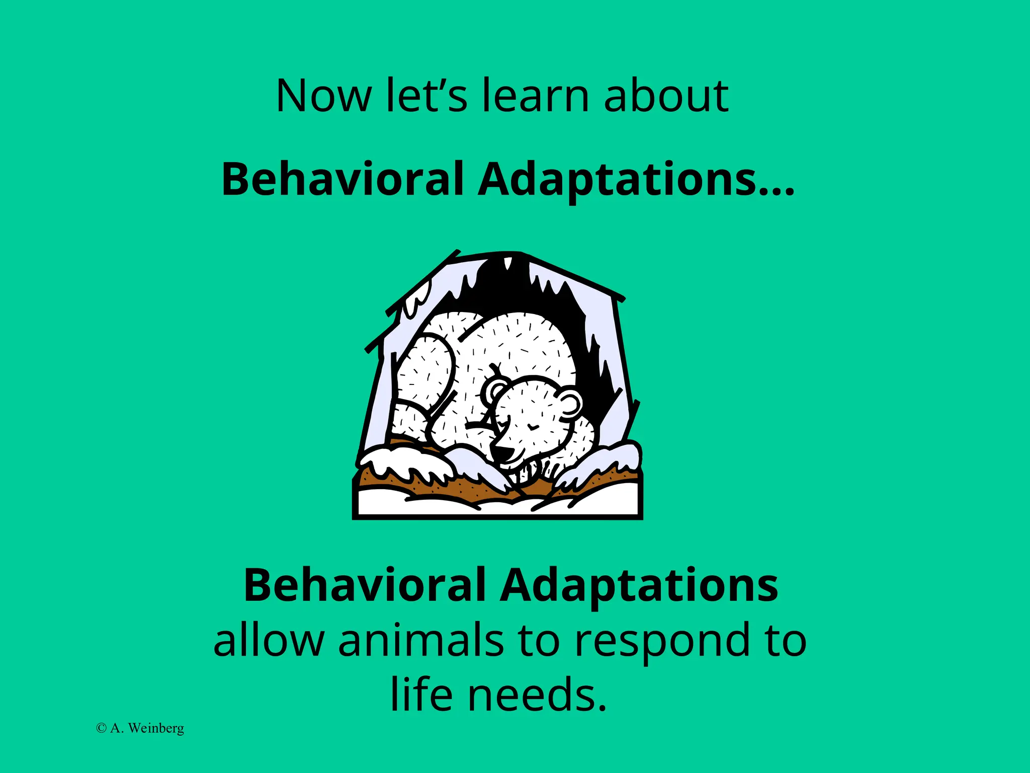 animal_adaptations and their environment.ppt