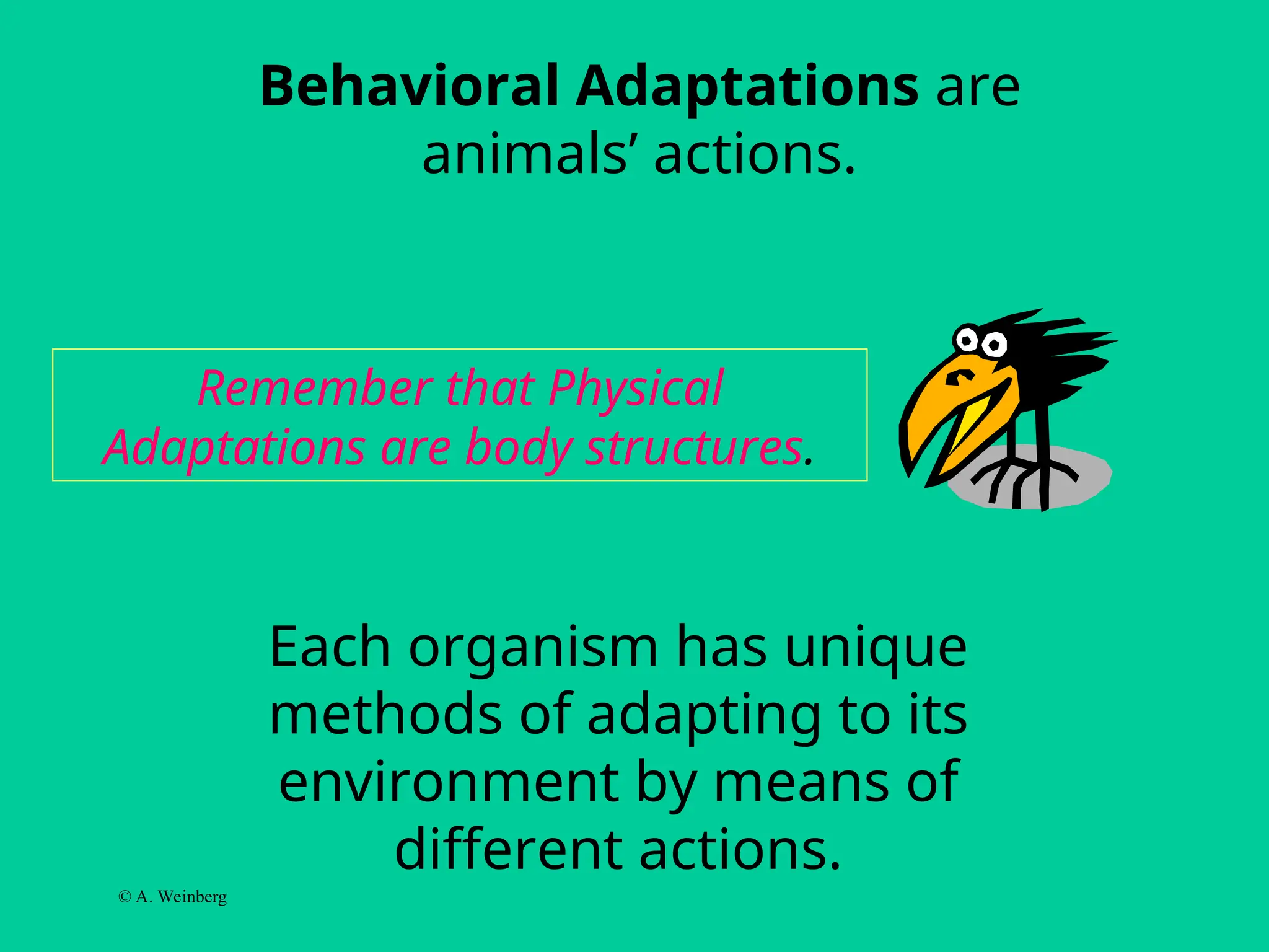 animal_adaptations and their environment.ppt