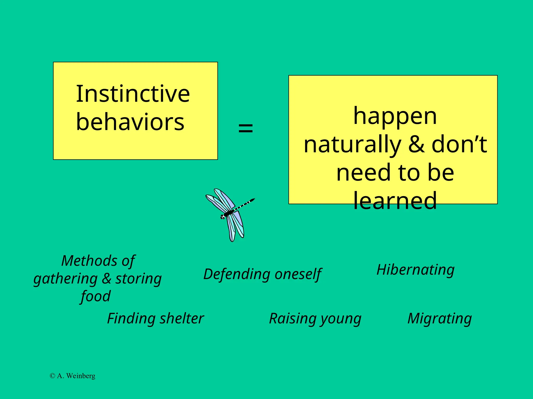 animal_adaptations and their environment.ppt