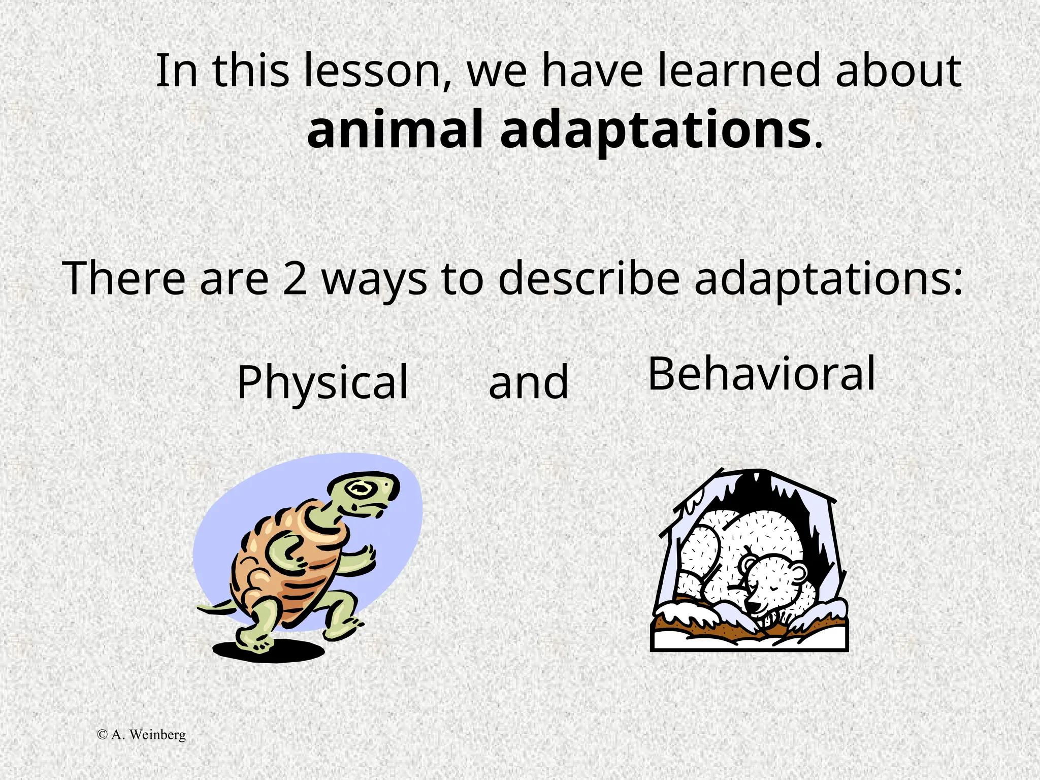 animal_adaptations and their environment.ppt