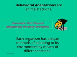 animal_adaptations and their environment.ppt