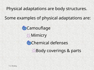 animal_adaptations and their environment.ppt