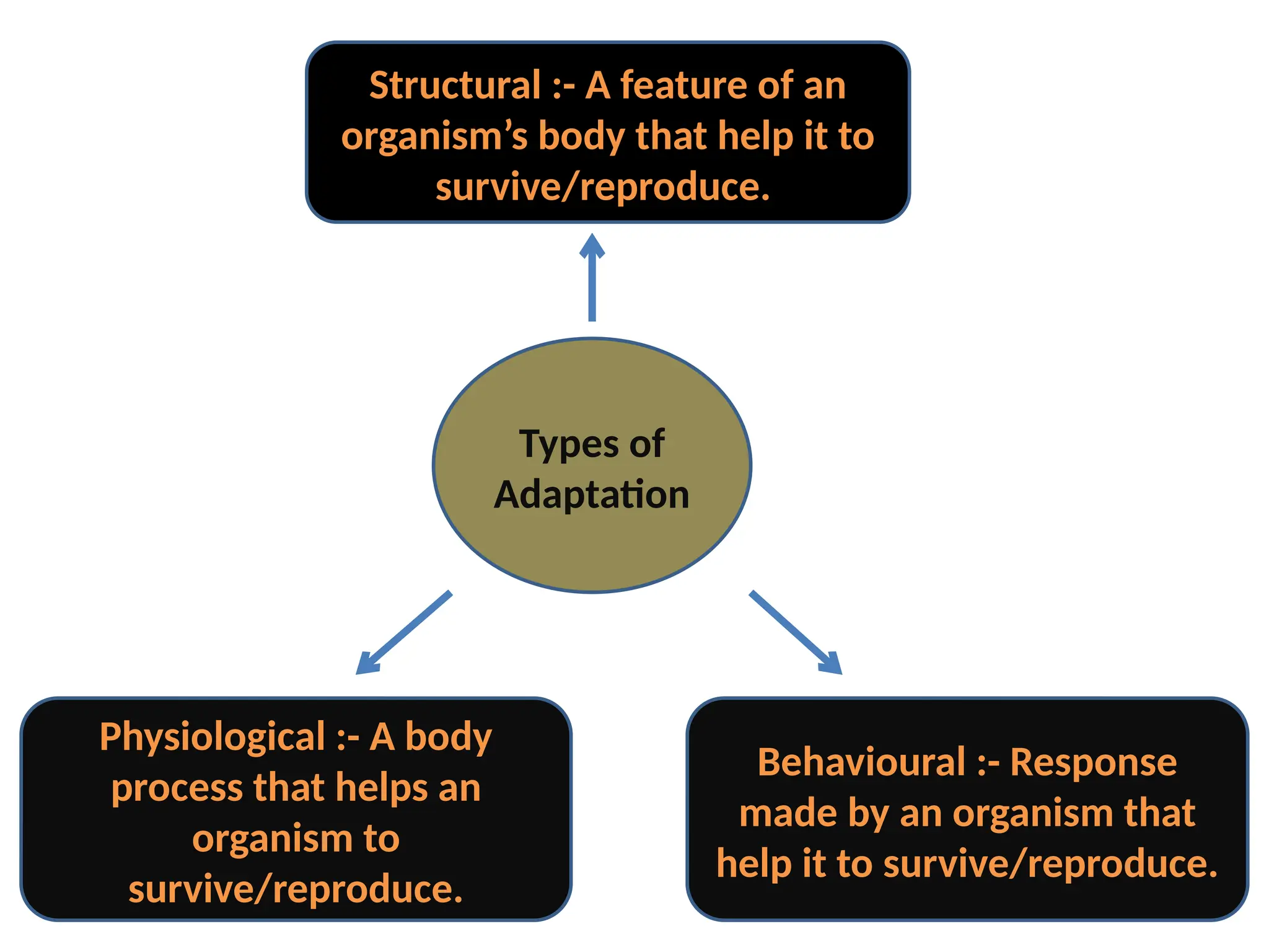 Animal adaptations bareilly college.pptx