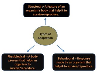 Animal adaptations bareilly college.pptx