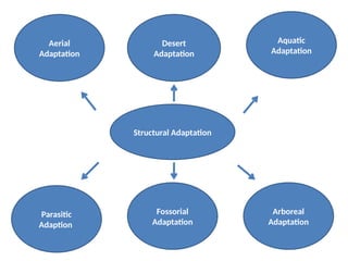 Animal adaptations bareilly college.pptx