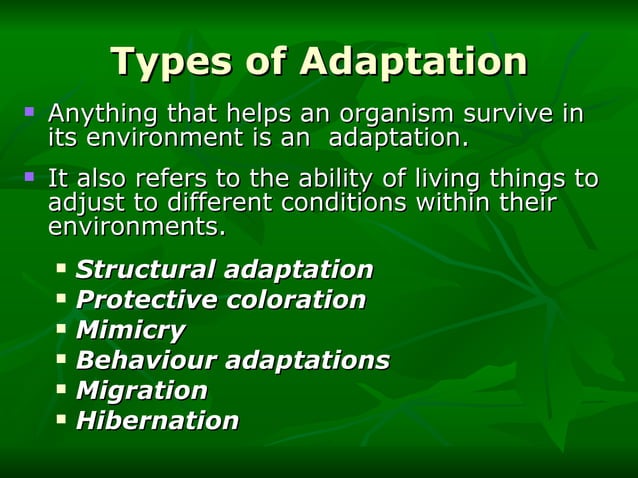 Animal adaptations i | PPT