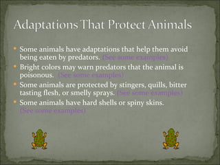 Animal adaptationspowerpointlesson1 | PPT | Birds | Pets