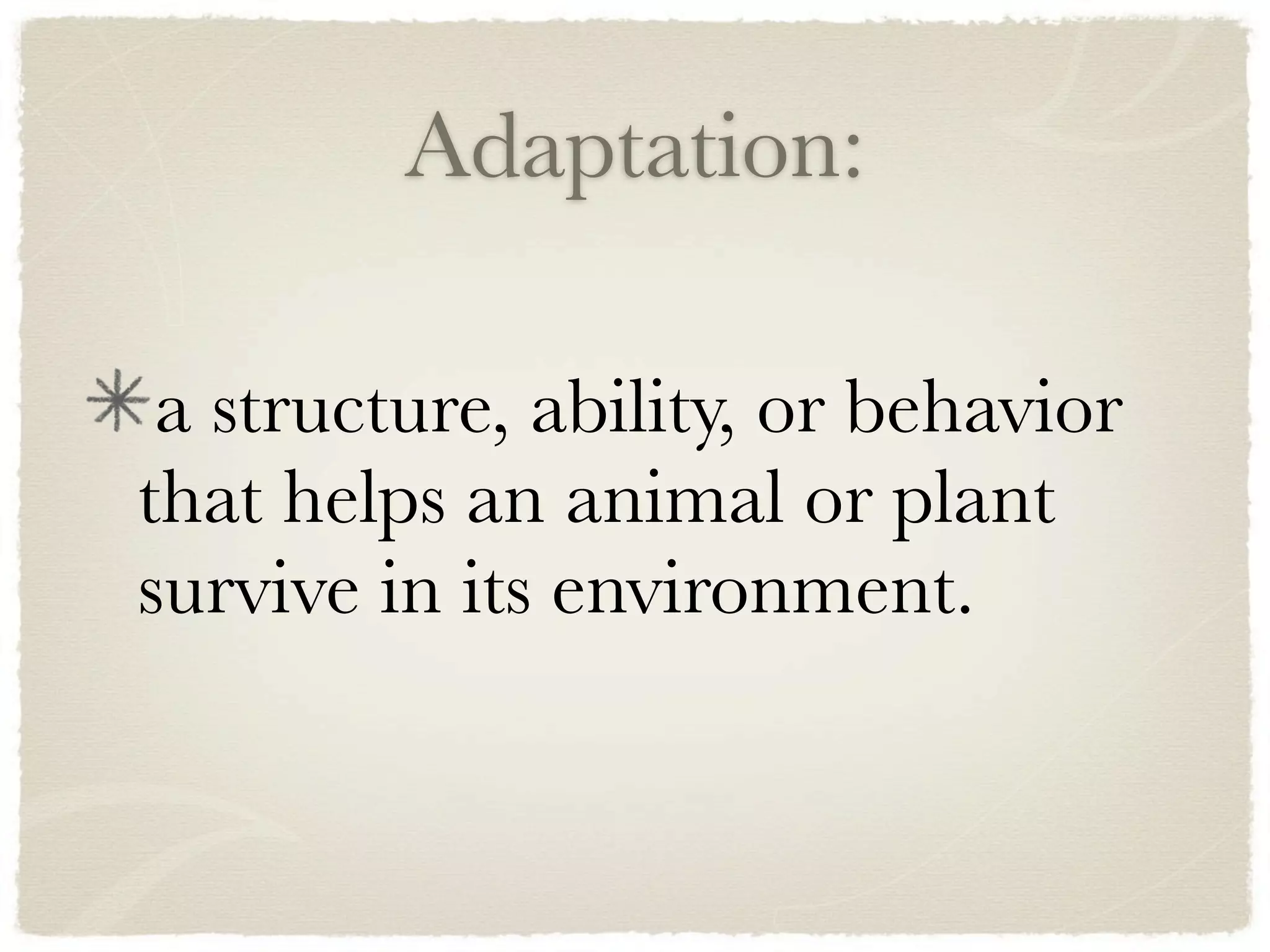 Animal adaptations presentation | KEY