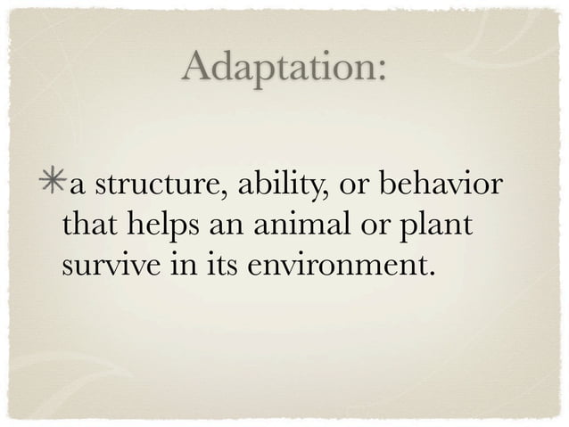Animal adaptations presentation | KEY