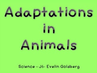 Animal Adaptations | PPTX | Birds | Pets
