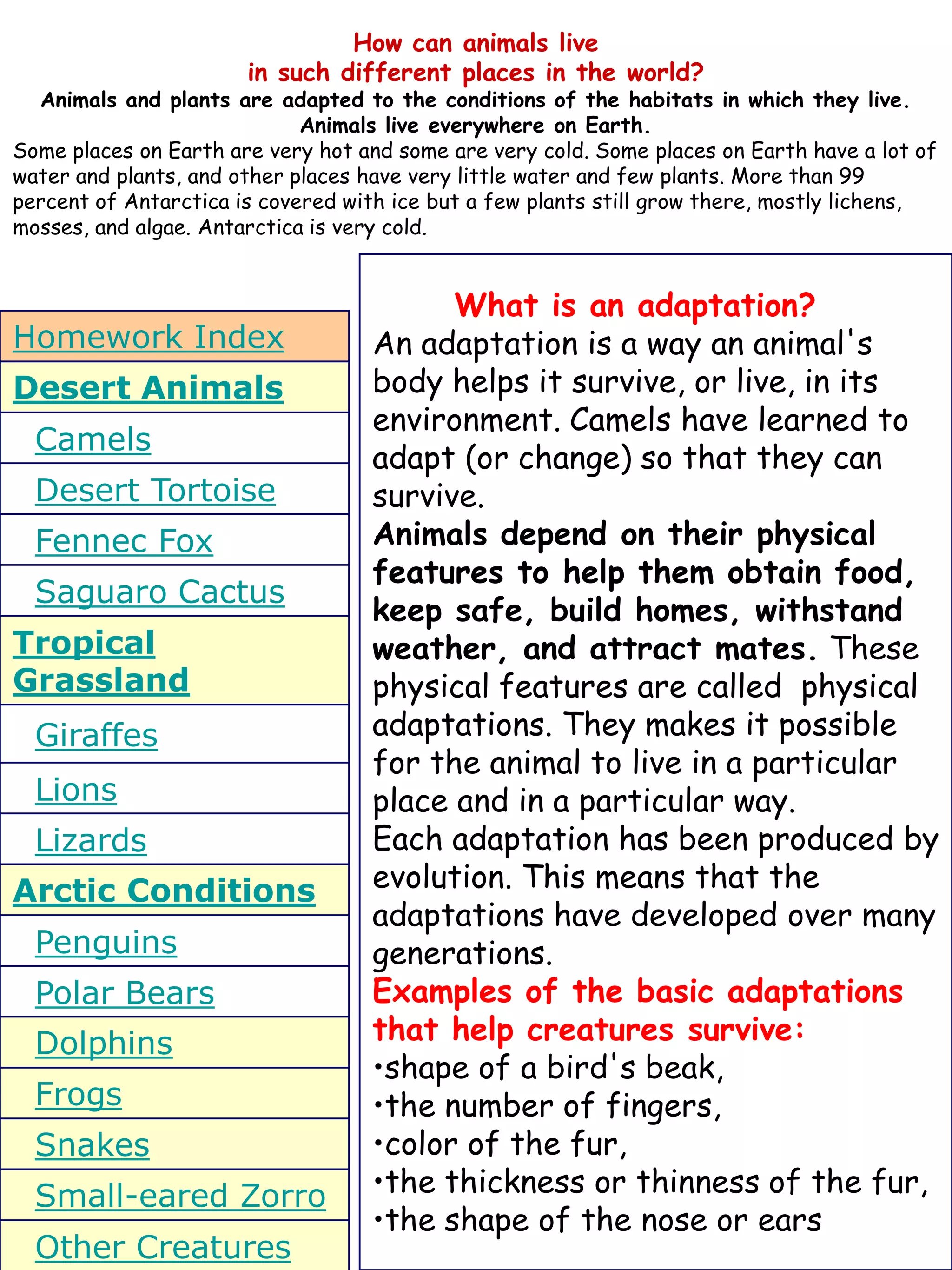 Paw Creek Animal adaptations | PPTX