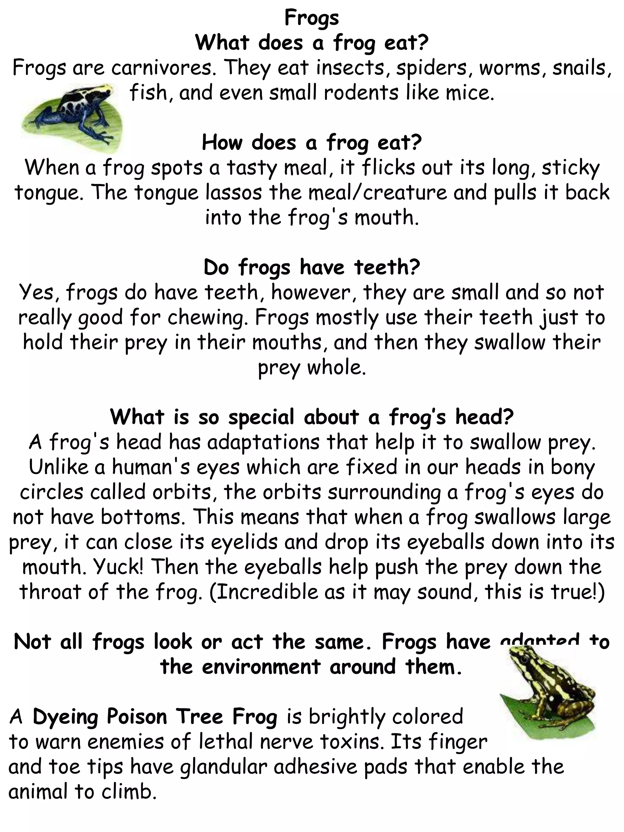 Paw Creek Animal adaptations | PPTX