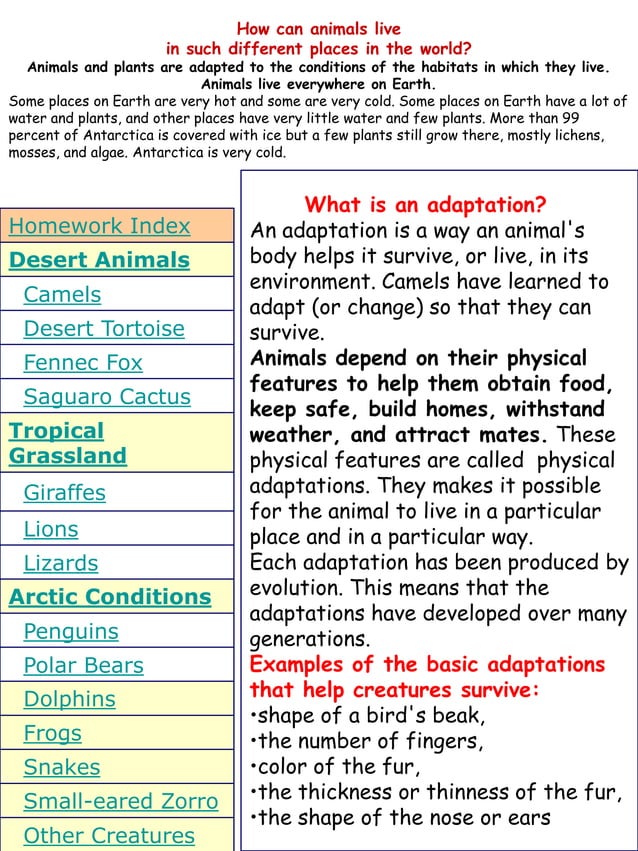 Paw Creek Animal adaptations | PPTX | Geography | Science