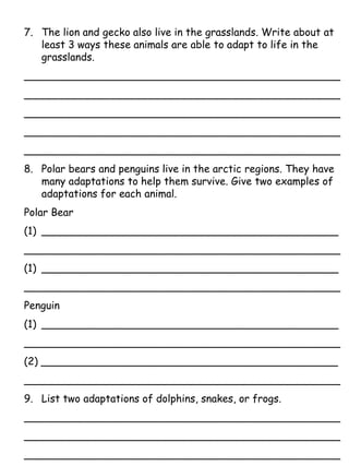 Paw Creek Animal adaptations | PPTX | Geography | Science