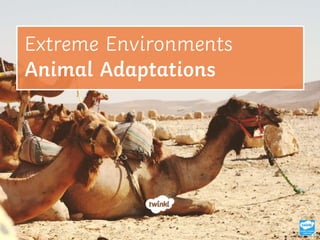 Animal adaptations to extreme environments power point answers removed ...
