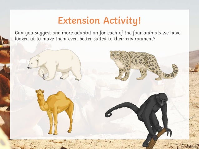 Animal adaptations to extreme environments power point answers removed ...