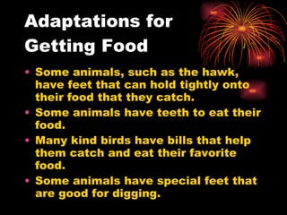 Animaladaptatoins | PPT