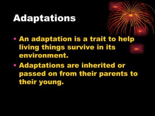 Animaladaptatoins | PPT