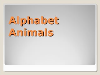 Animal alphabet | PPT