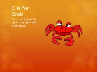 Animal alphabet powerpoint | PPTX