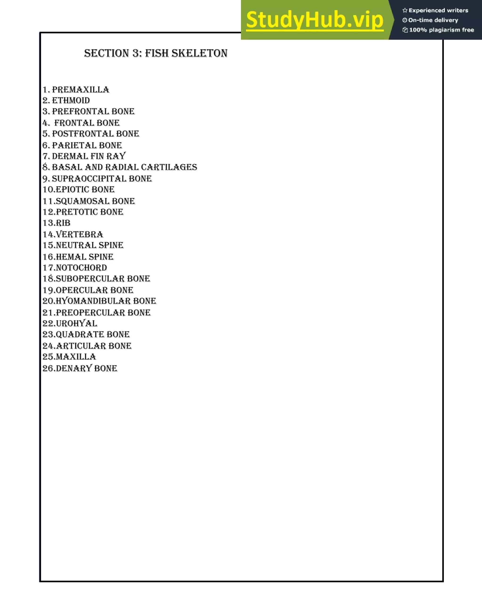 Animal Amp Cat Anatomy Coloring Book | PDF