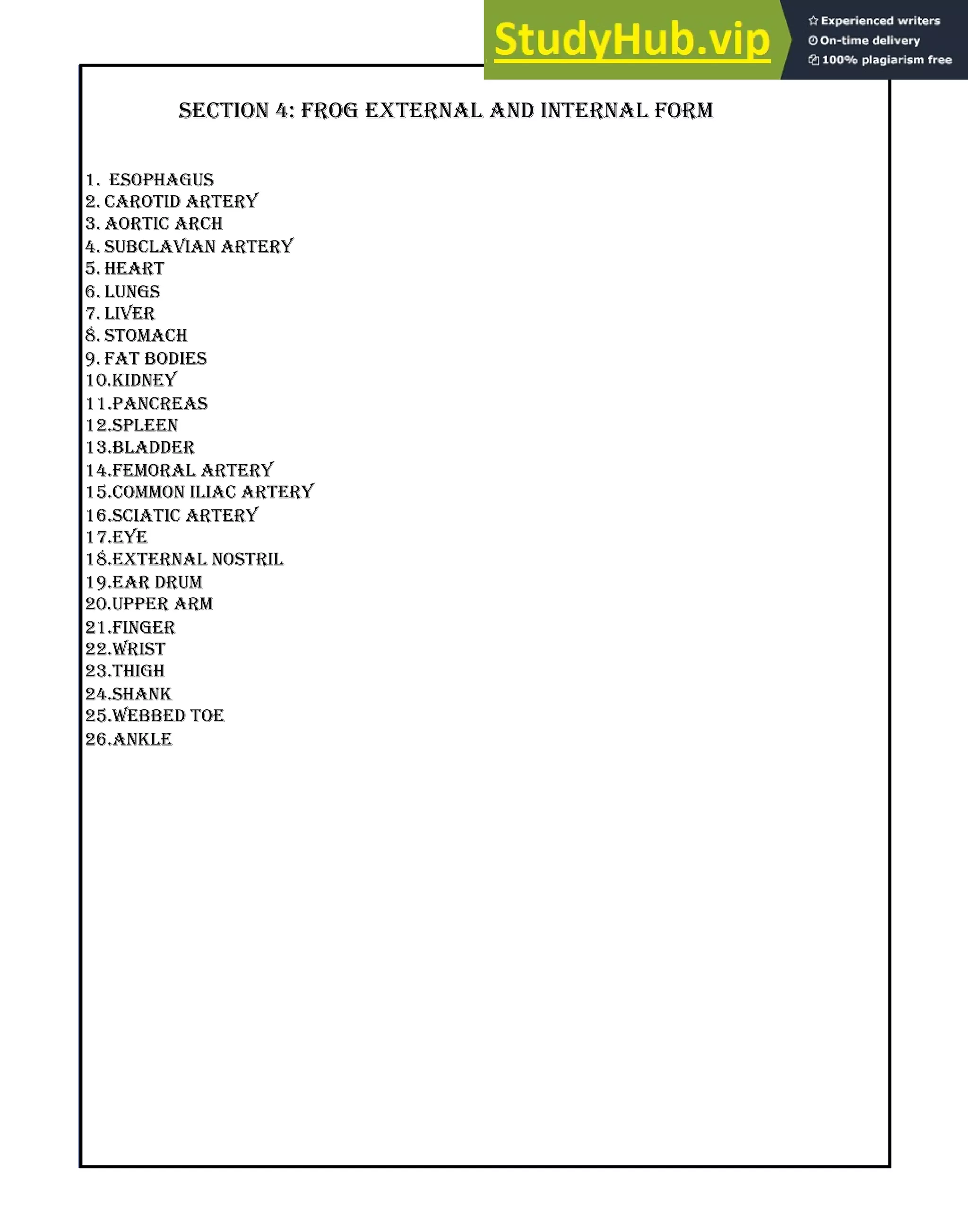 Animal Amp Cat Anatomy Coloring Book | PDF