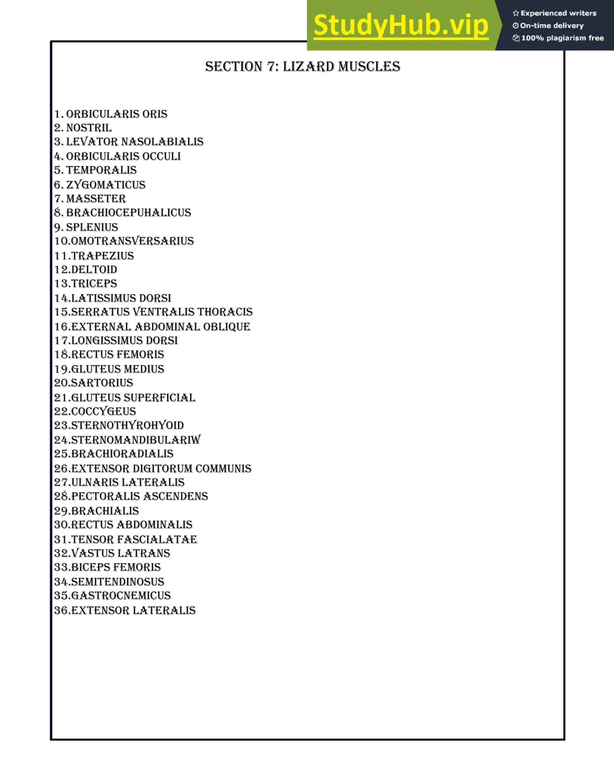 Animal Amp Cat Anatomy Coloring Book | PDF