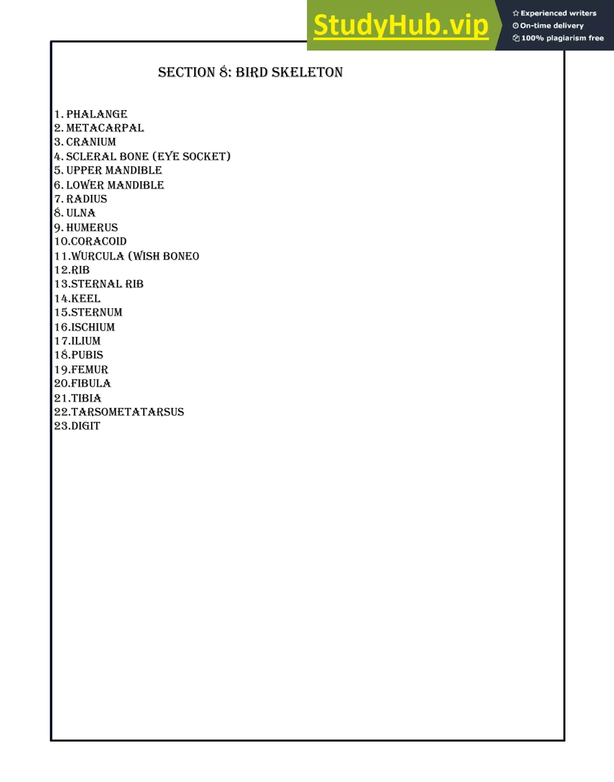 Animal Amp Cat Anatomy Coloring Book | PDF