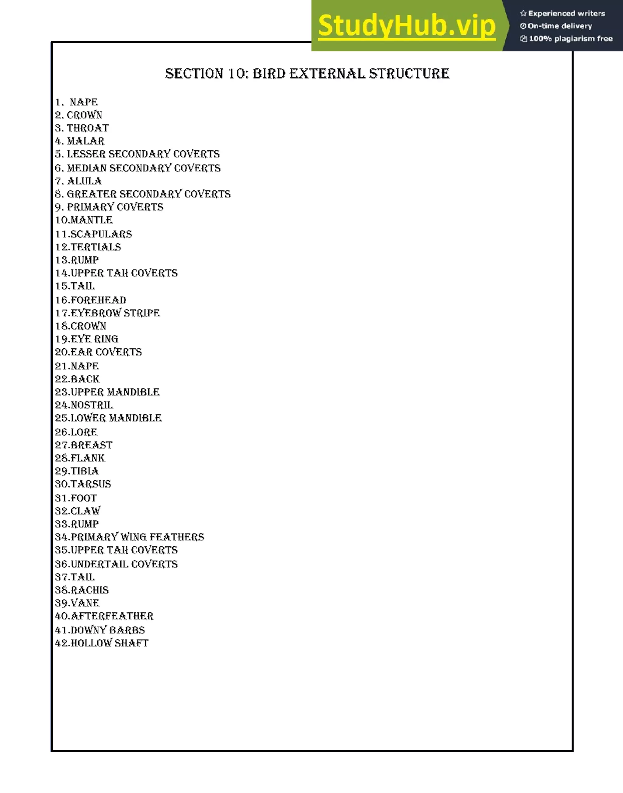 Animal Amp Cat Anatomy Coloring Book | PDF