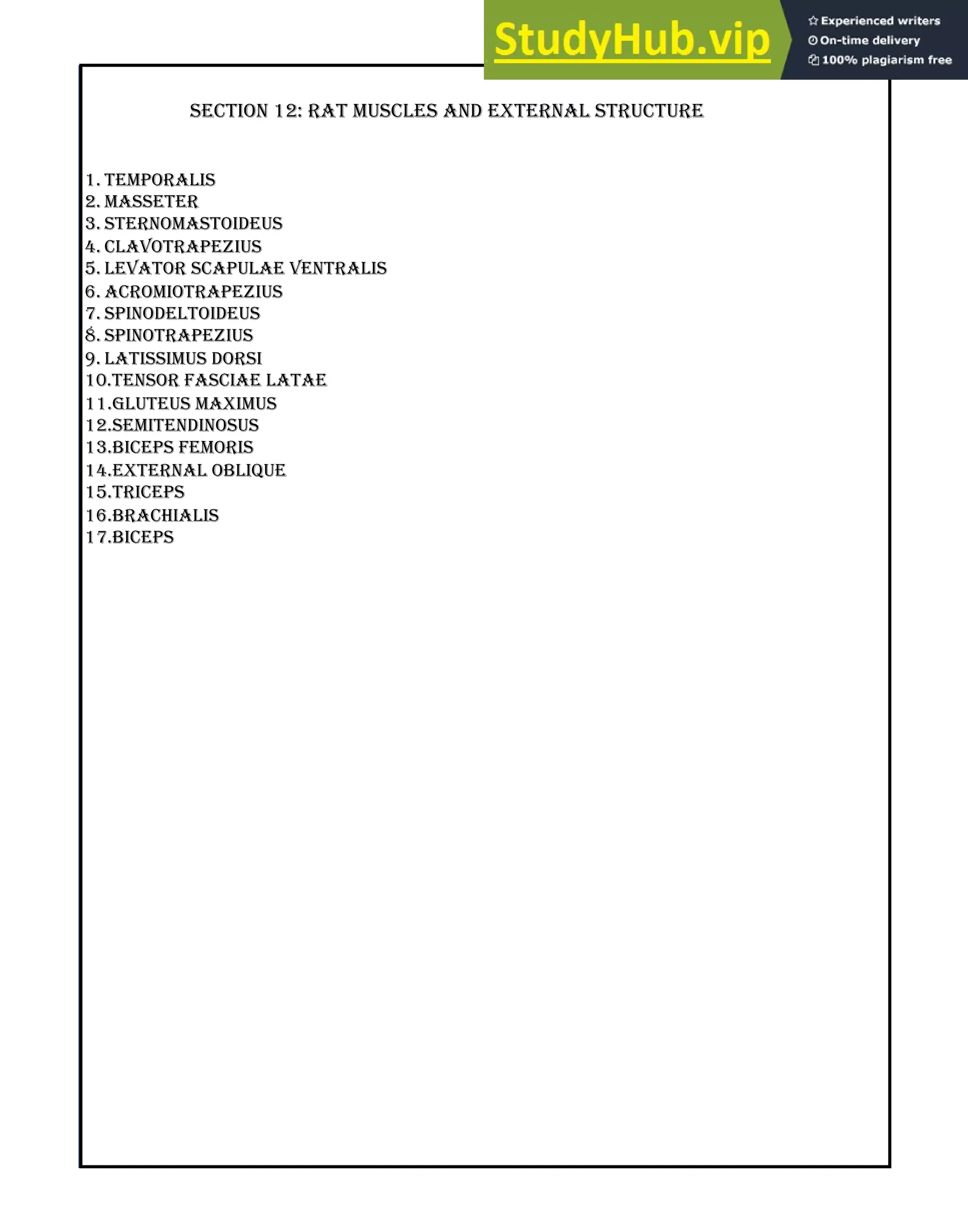 Animal Amp Cat Anatomy Coloring Book | PDF