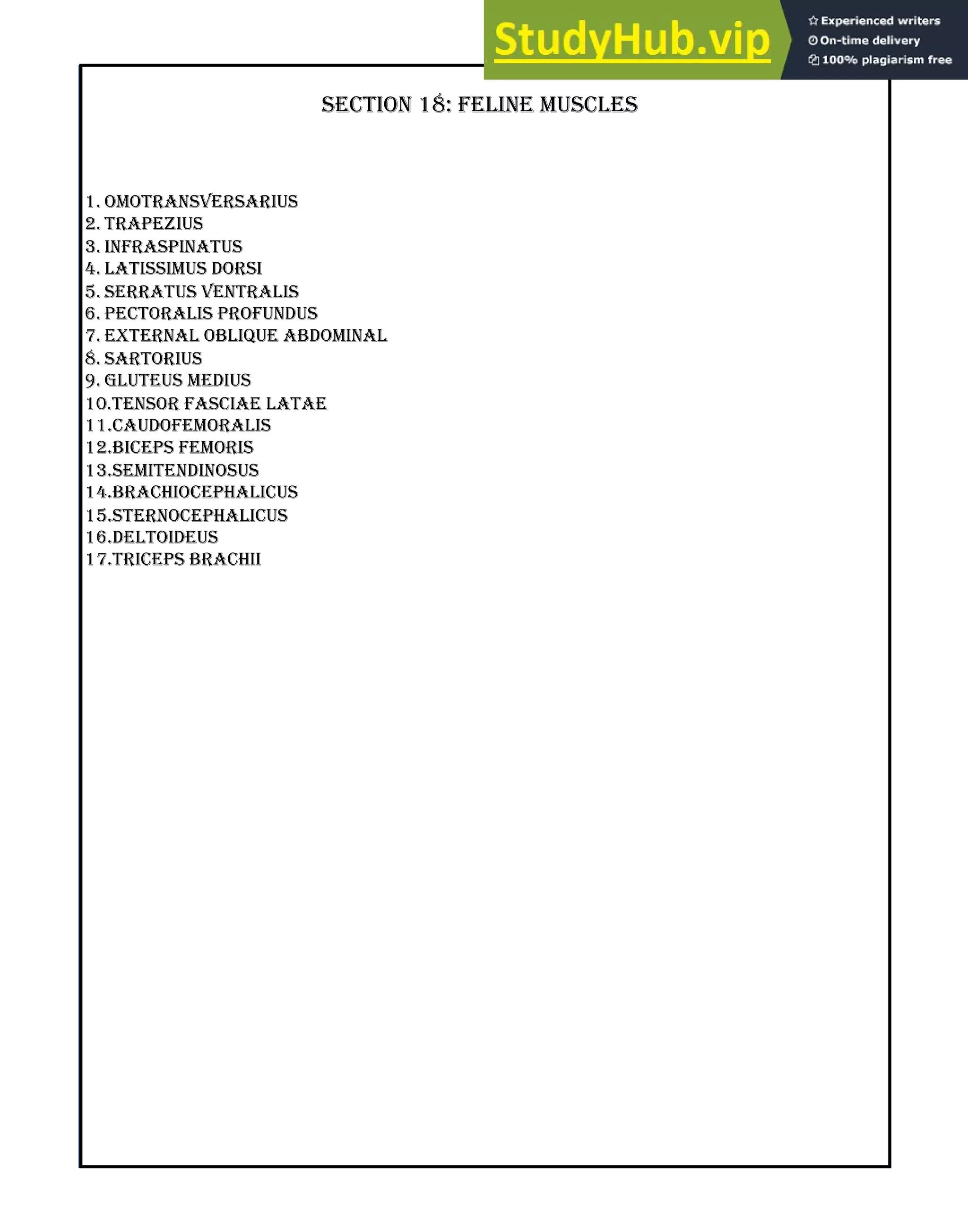 Animal Amp Cat Anatomy Coloring Book | PDF