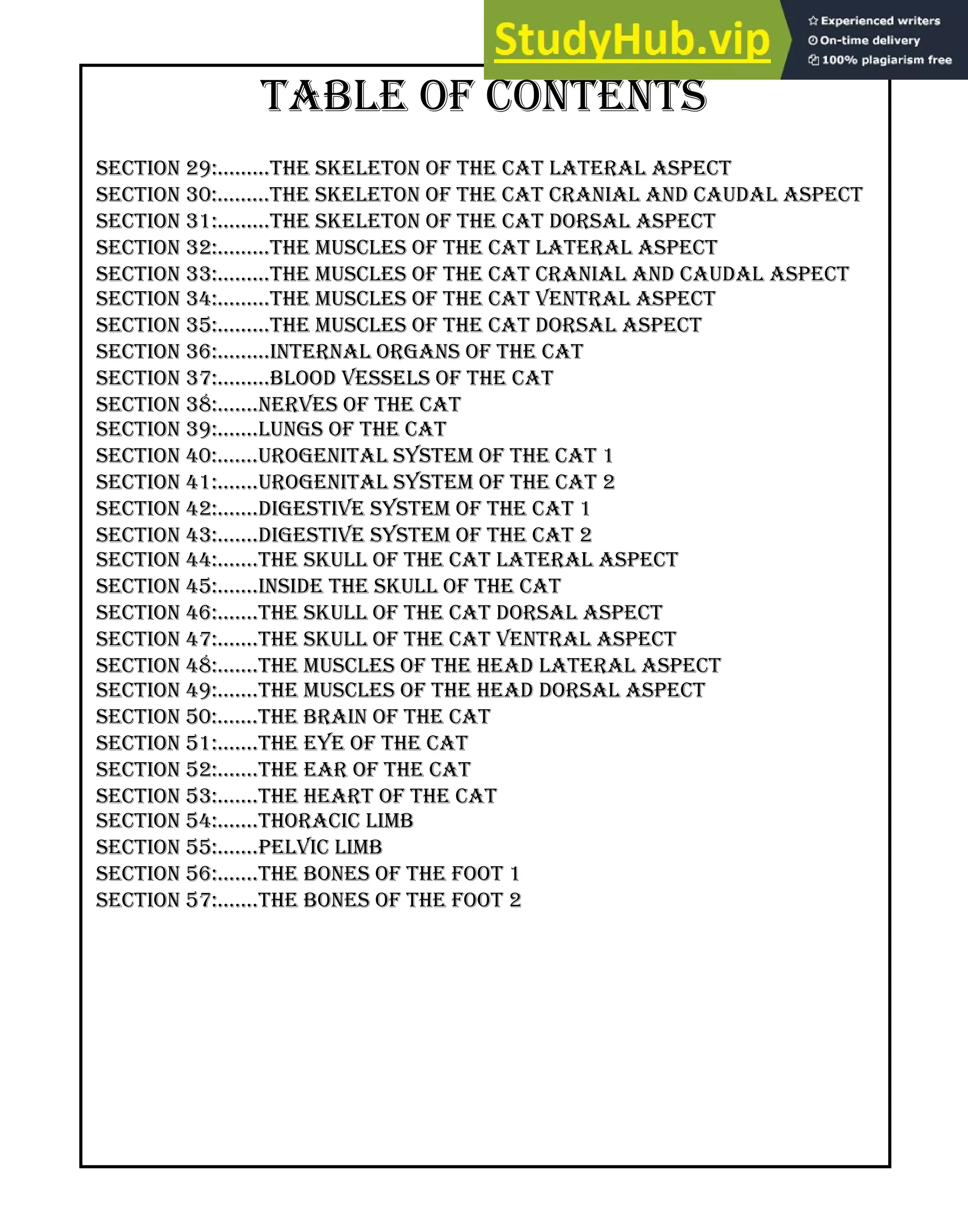 Animal Amp Cat Anatomy Coloring Book | PDF