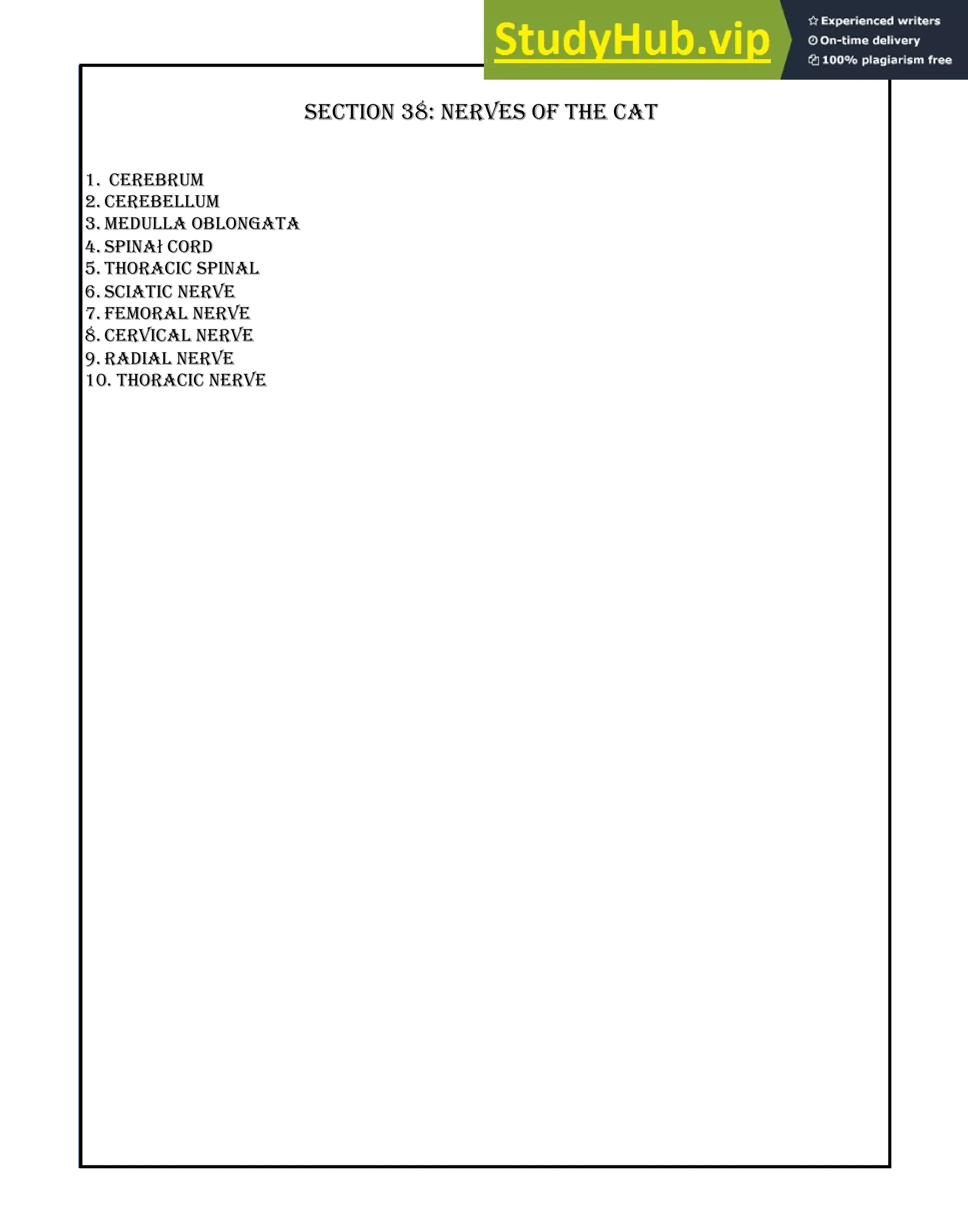 Animal Amp Cat Anatomy Coloring Book | PDF