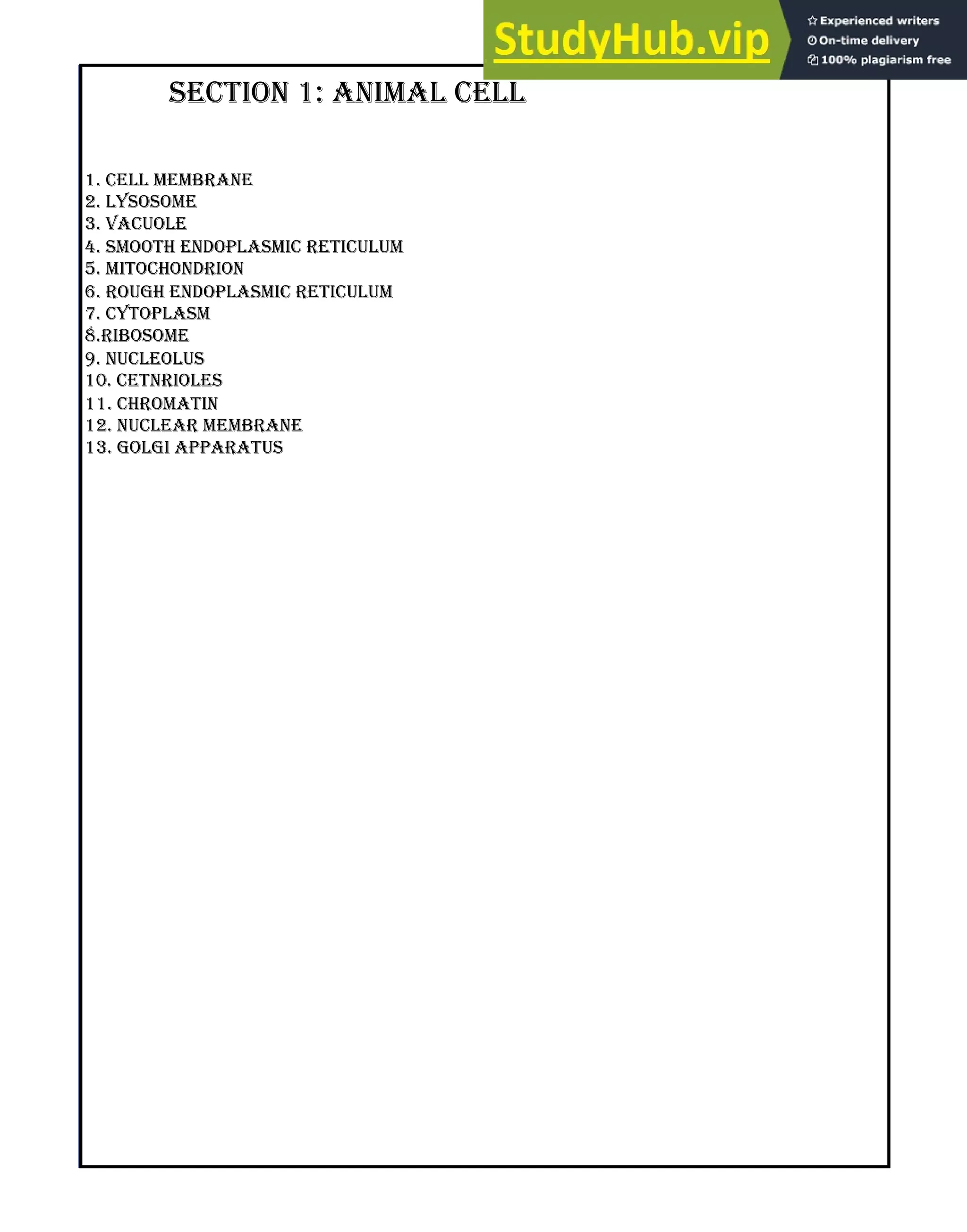 Animal Amp Cat Anatomy Coloring Book | PDF