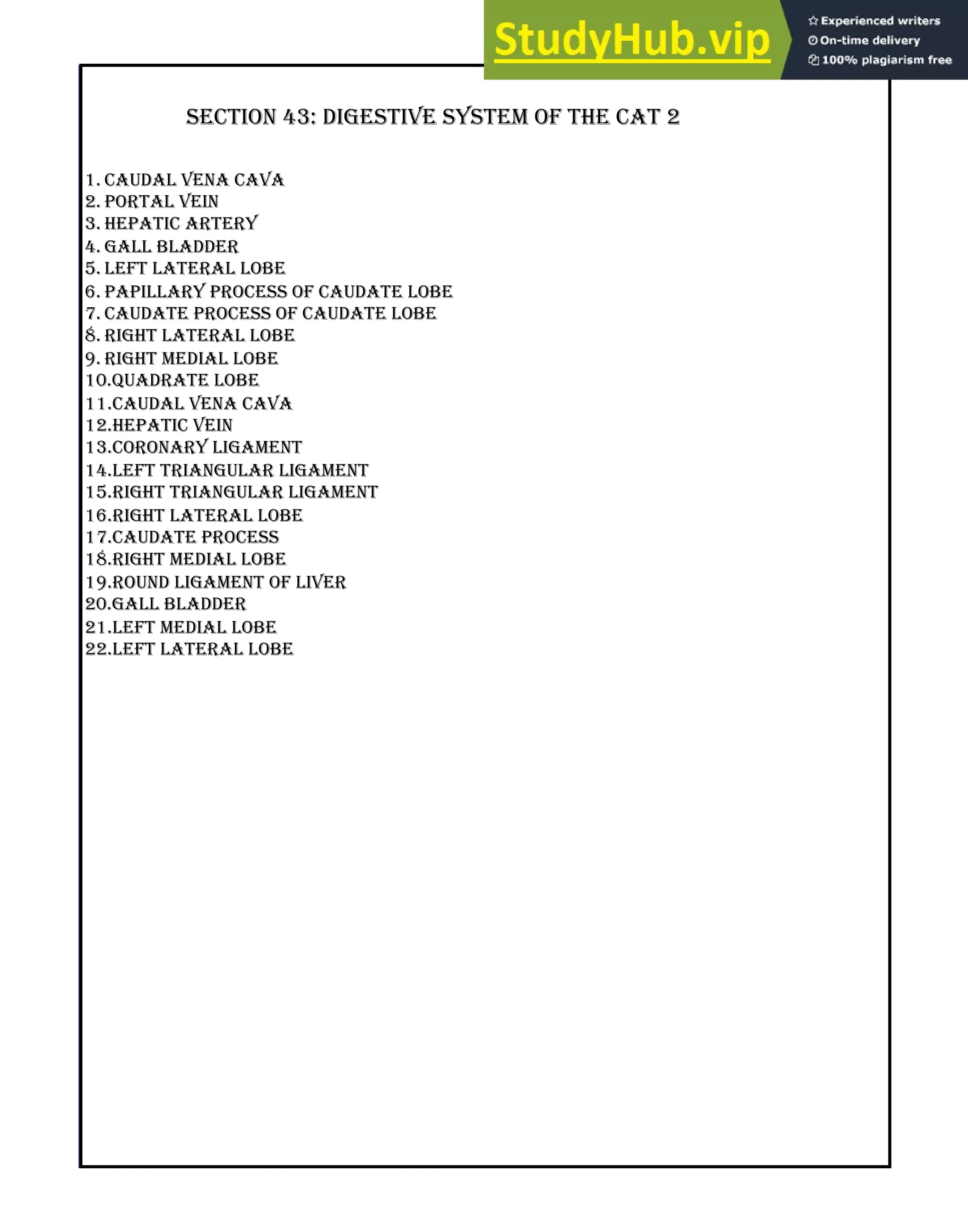 Animal Amp Cat Anatomy Coloring Book | PDF