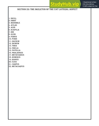 Animal Amp Cat Anatomy Coloring Book | PDF