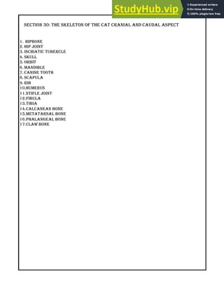 Animal Amp Cat Anatomy Coloring Book | PDF