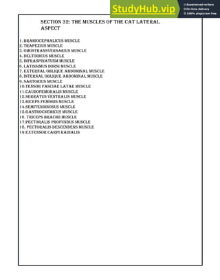 Animal Amp Cat Anatomy Coloring Book | PDF