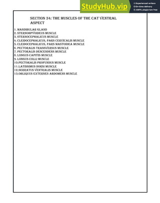 Animal Amp Cat Anatomy Coloring Book | PDF