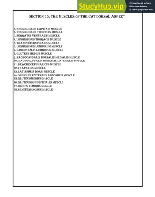 Animal Amp Cat Anatomy Coloring Book | PDF