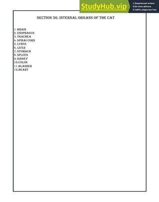 Animal Amp Cat Anatomy Coloring Book | PDF