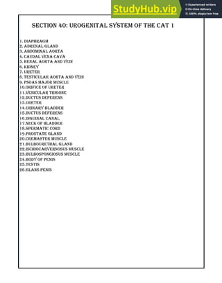 Animal Amp Cat Anatomy Coloring Book | PDF