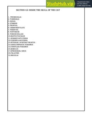 Animal Amp Cat Anatomy Coloring Book | PDF
