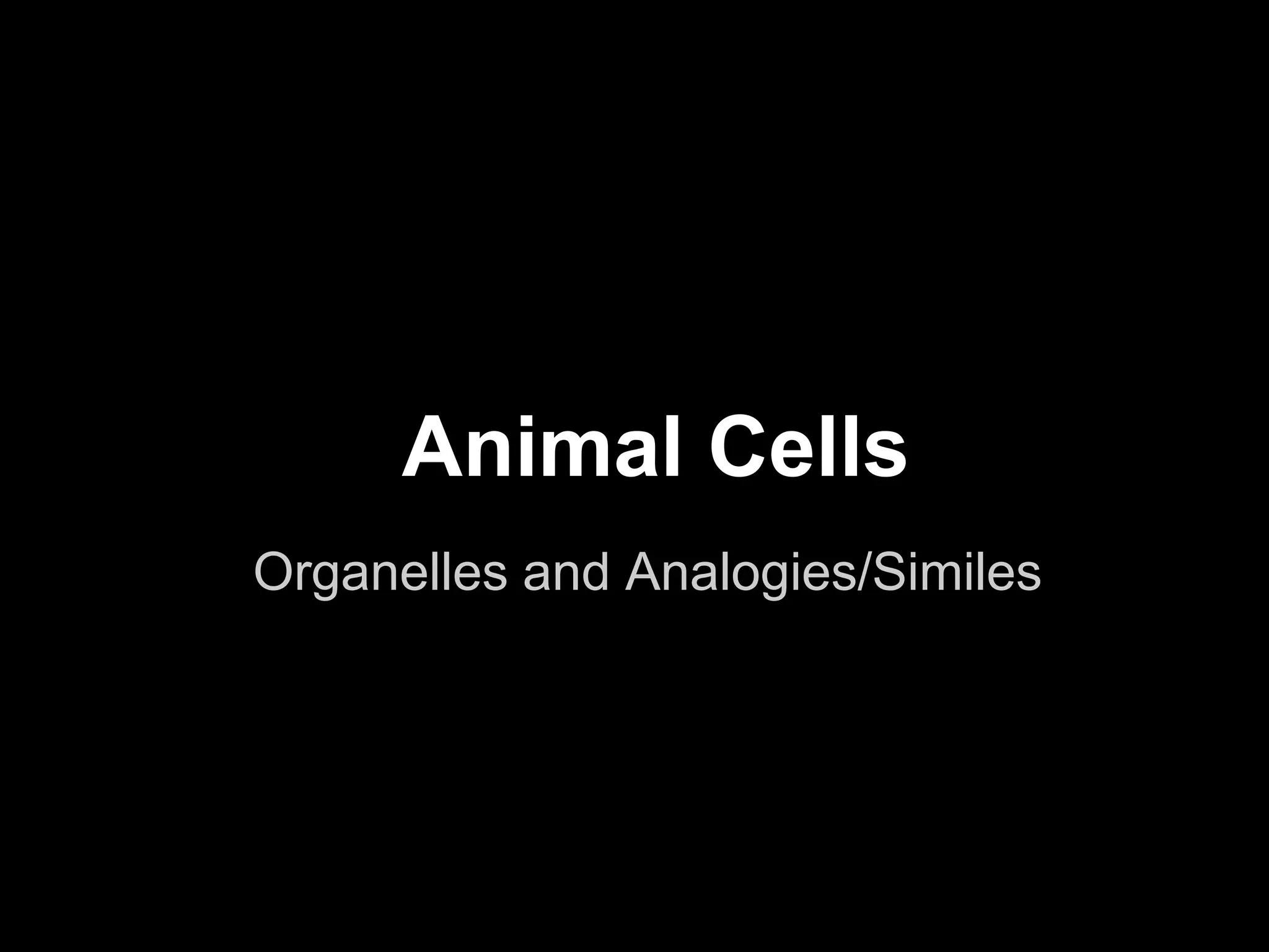 Animal analogies ws version | PPTX | Biological Sciences | Science